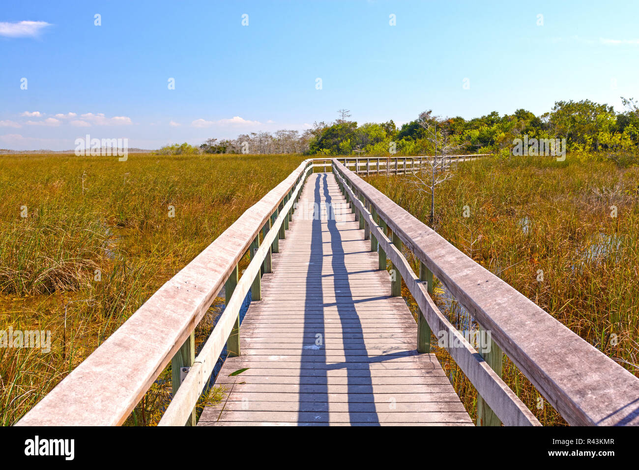 Boardwalk Through a Wetland Marsh Stock Photo - Alamy