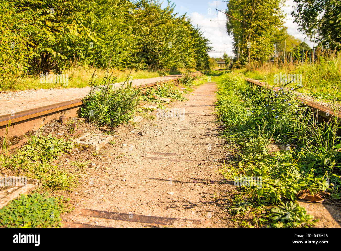 old closed overgrown railway Stock Photo - Alamy