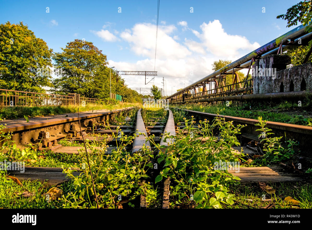 old closed overgrown railway Stock Photo - Alamy
