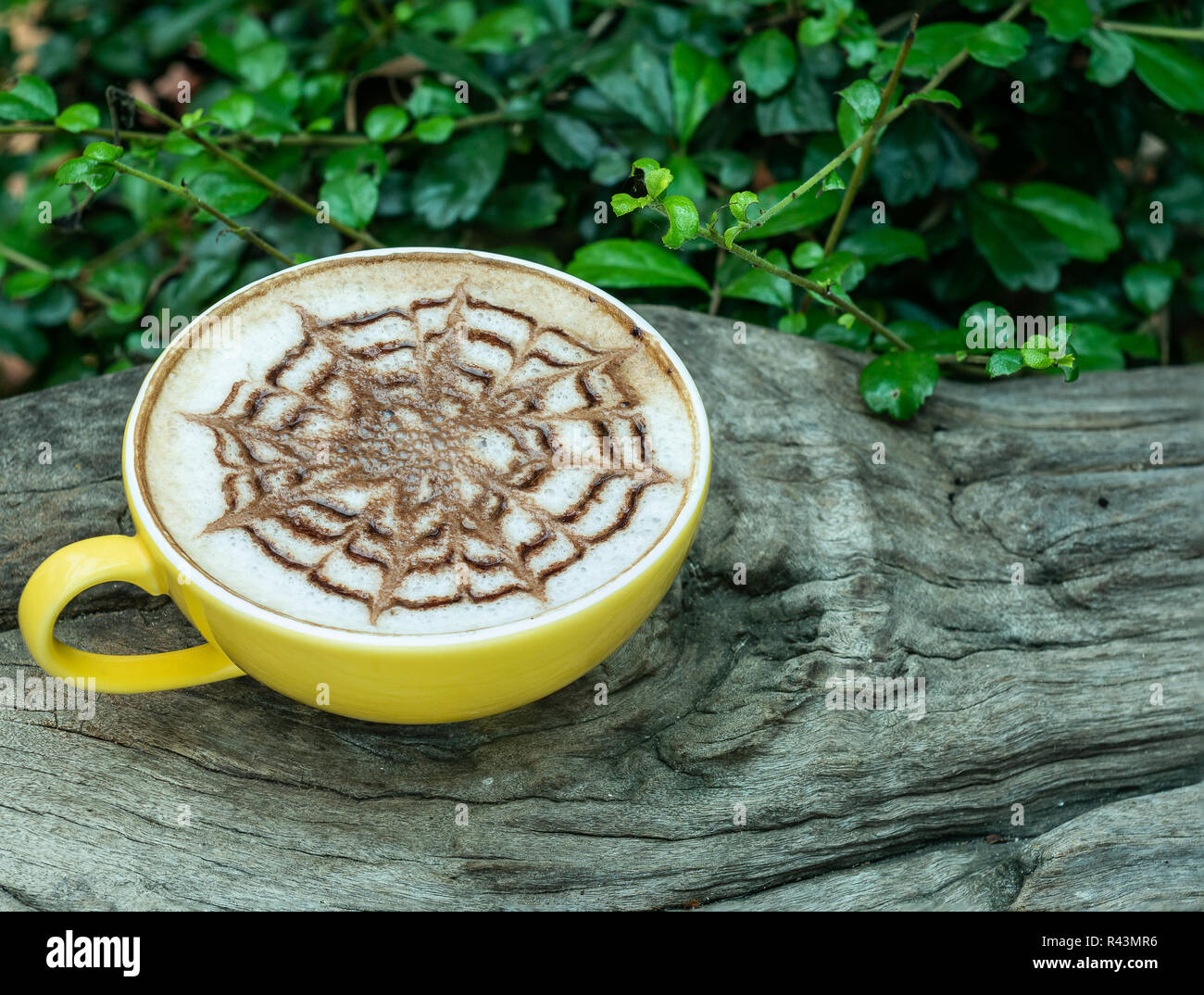 Cup of latte coffee drink on wooden log with green leaf background ...