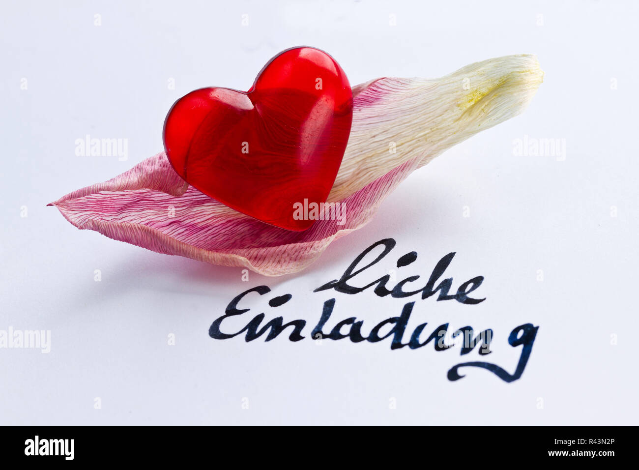 Your kind invitation hi-res stock photography and images - Alamy