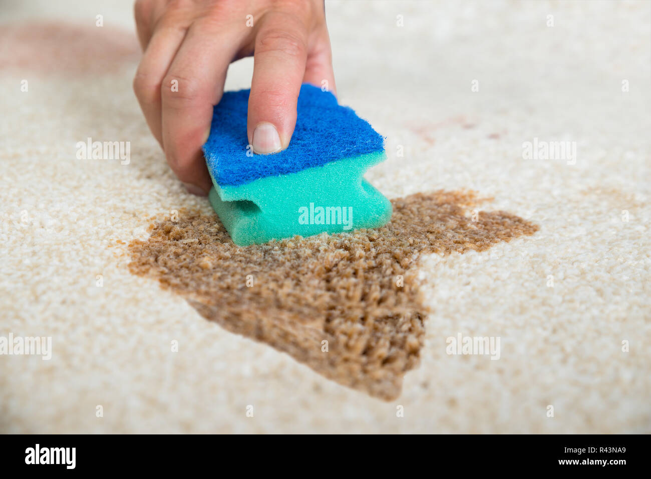 Man scrubbing carpet hi-res stock photography and images - Alamy