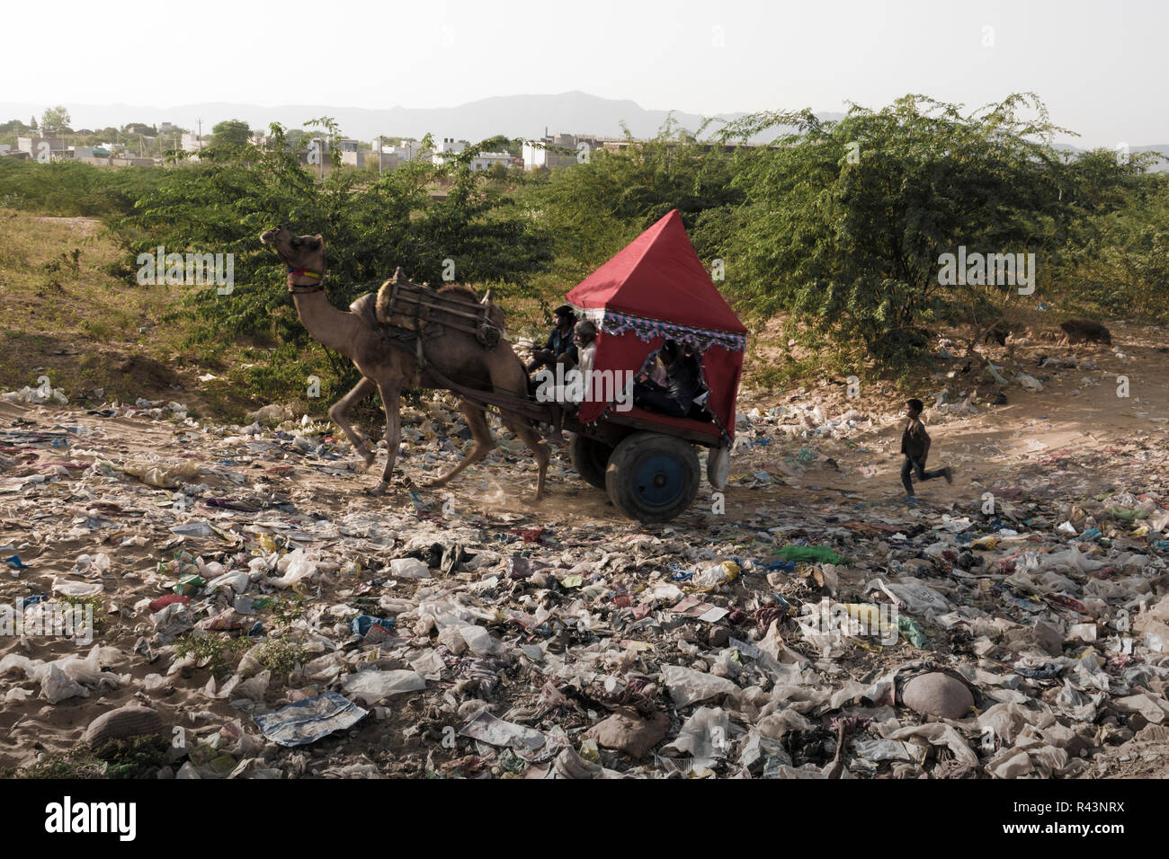 Animal waste dump india hi-res stock photography and images - Alamy