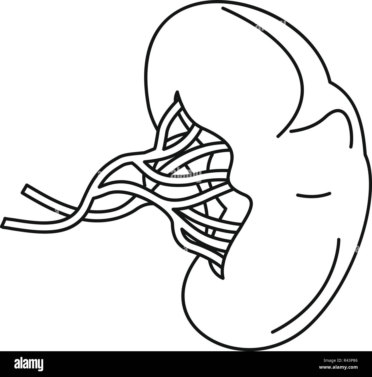 Sick spleen icon. Outline illustration of sick spleen vector icon for ...