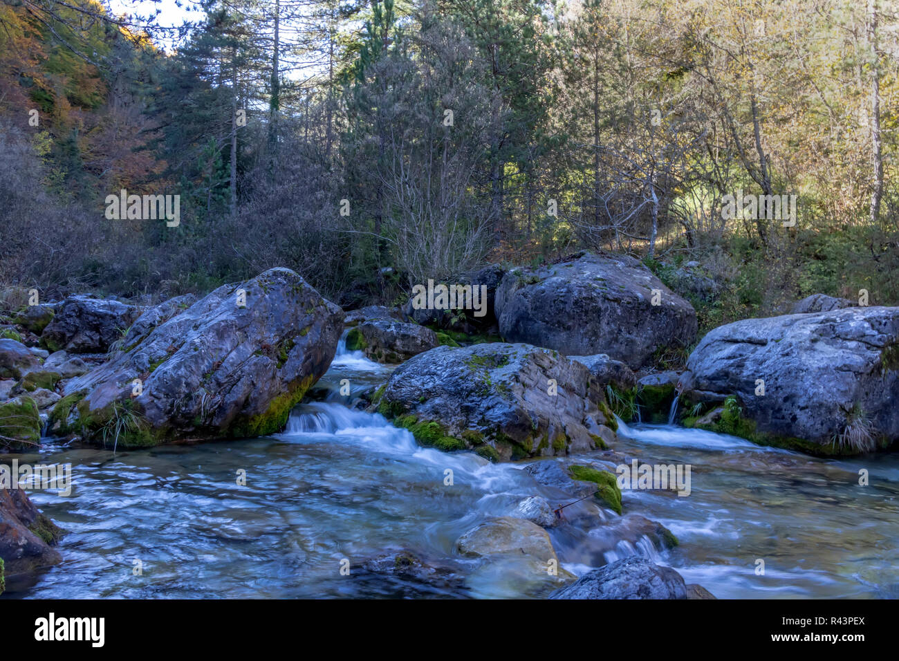 Mountain stream with clear water flowing between boulders in the forest ...