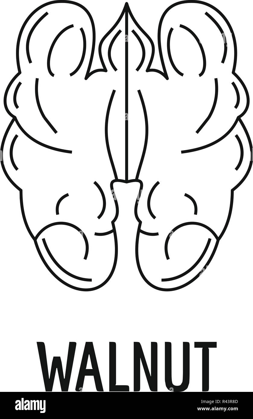 Walnut icon. Outline illustration of walnut vector icon for web design ...