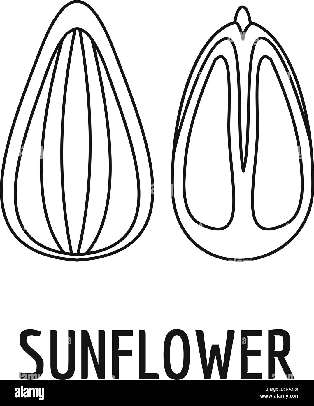 Seed Pod Black and White Stock Photos & Images - Alamy