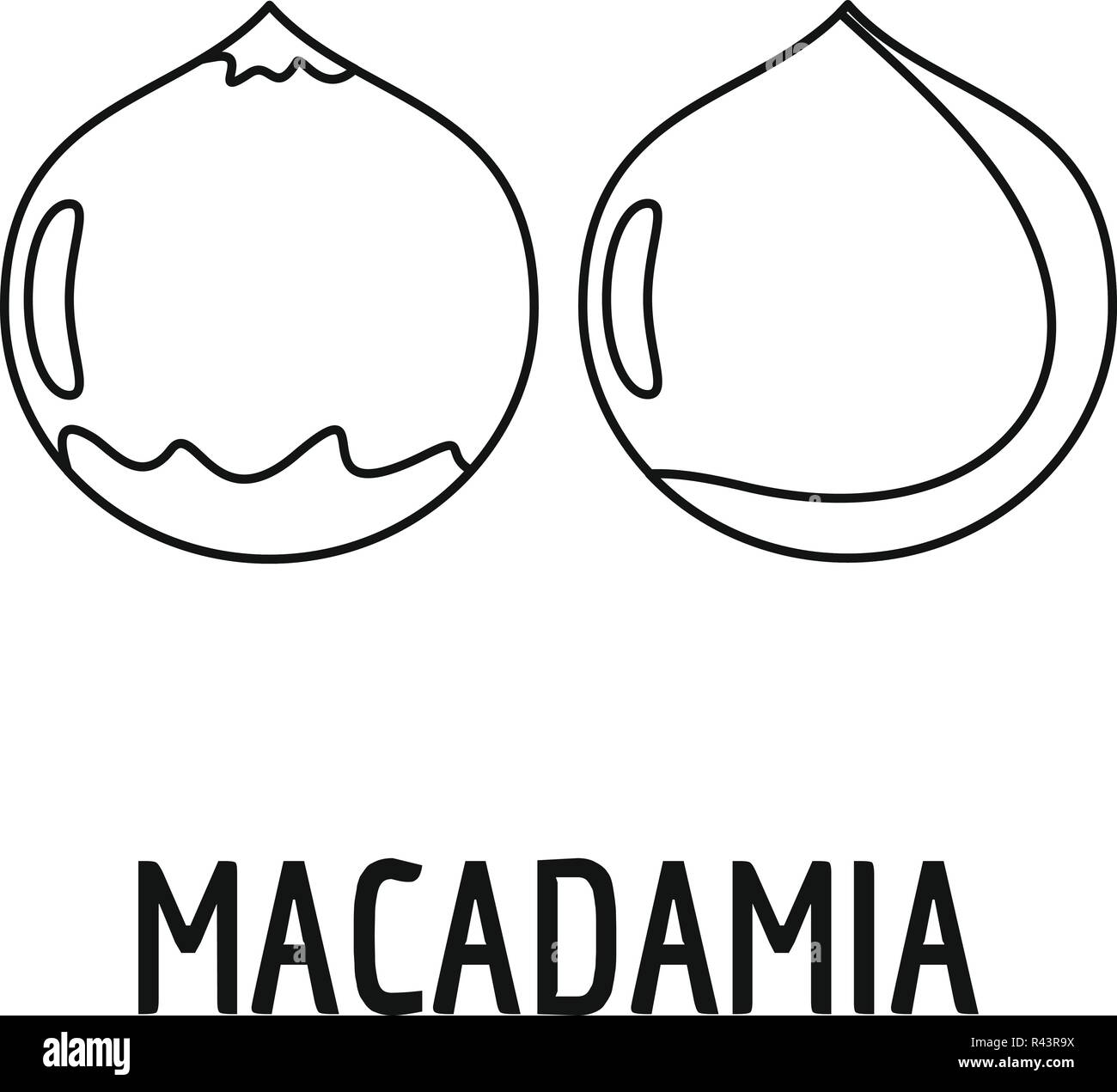 Macadamia icon. Outline illustration of macadamia vector icon for web ...