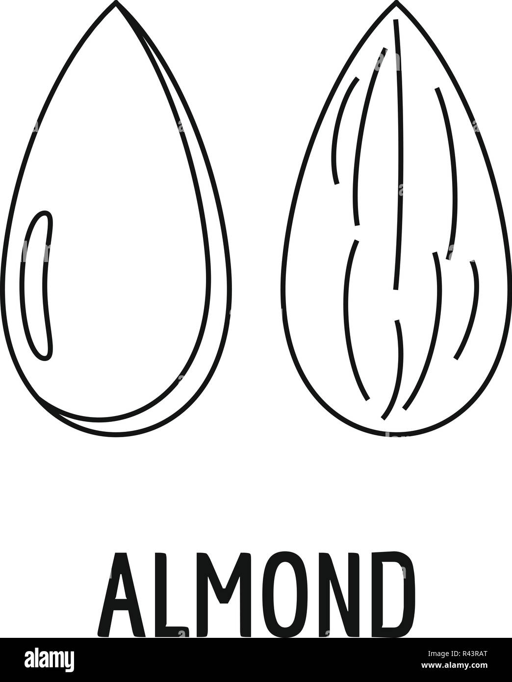 Almond icon. Outline illustration of almond vector icon for web design ... Almond icon. Outline illustration of almond vector icon for web design ...