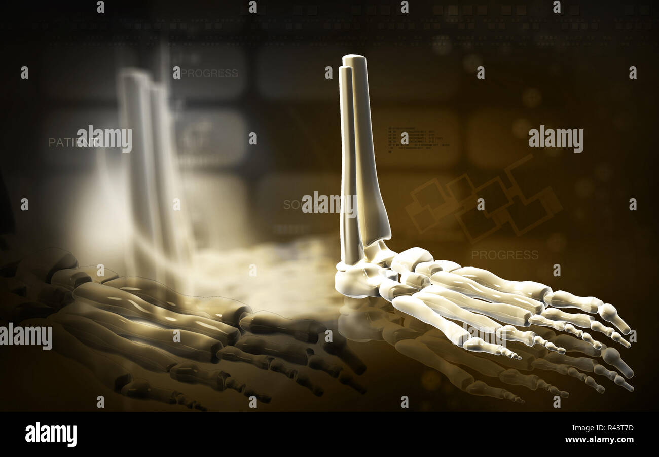 Bone texture hi-res stock photography and images - Alamy