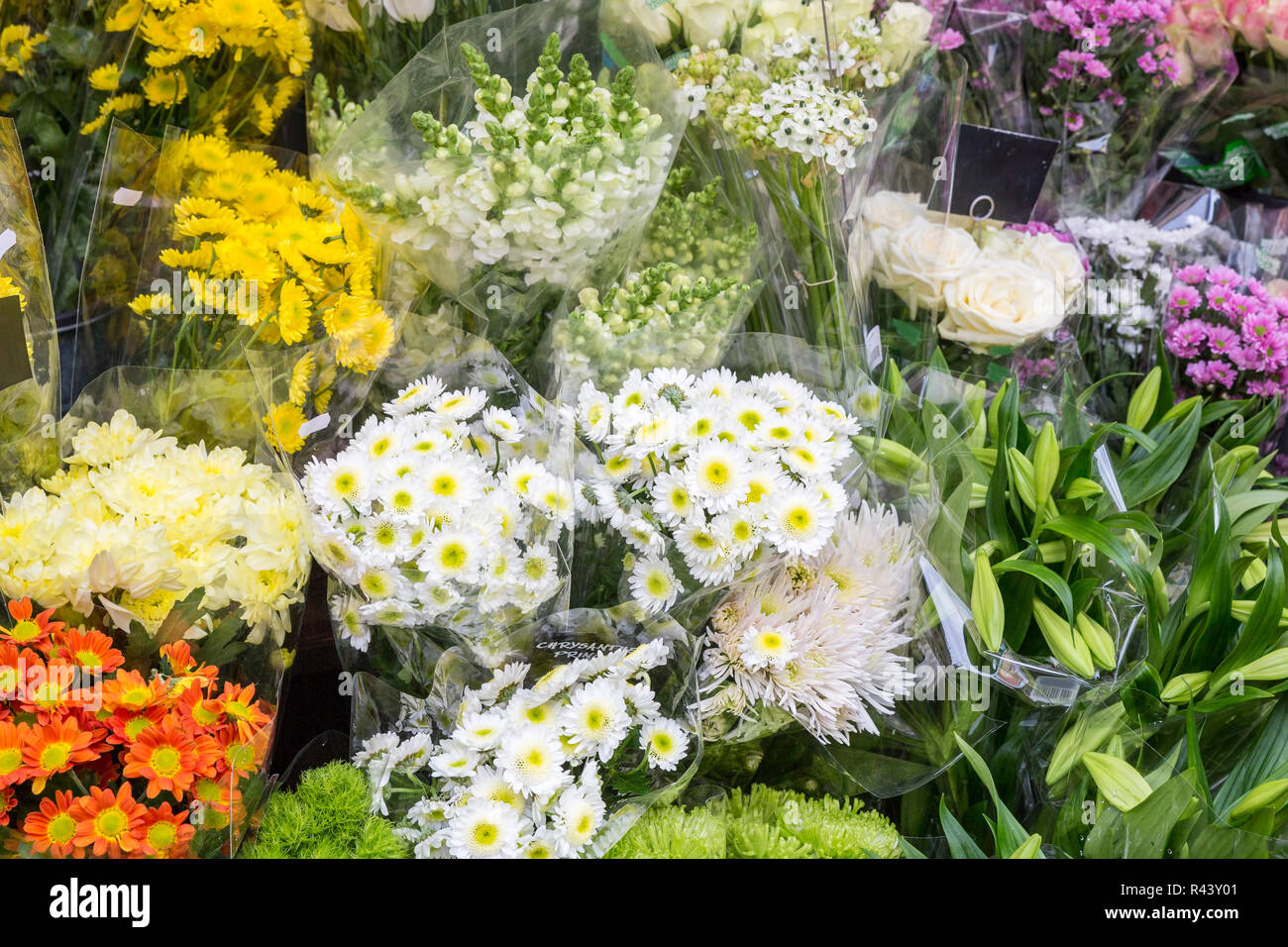 Team flower hi-res stock photography and images - Alamy