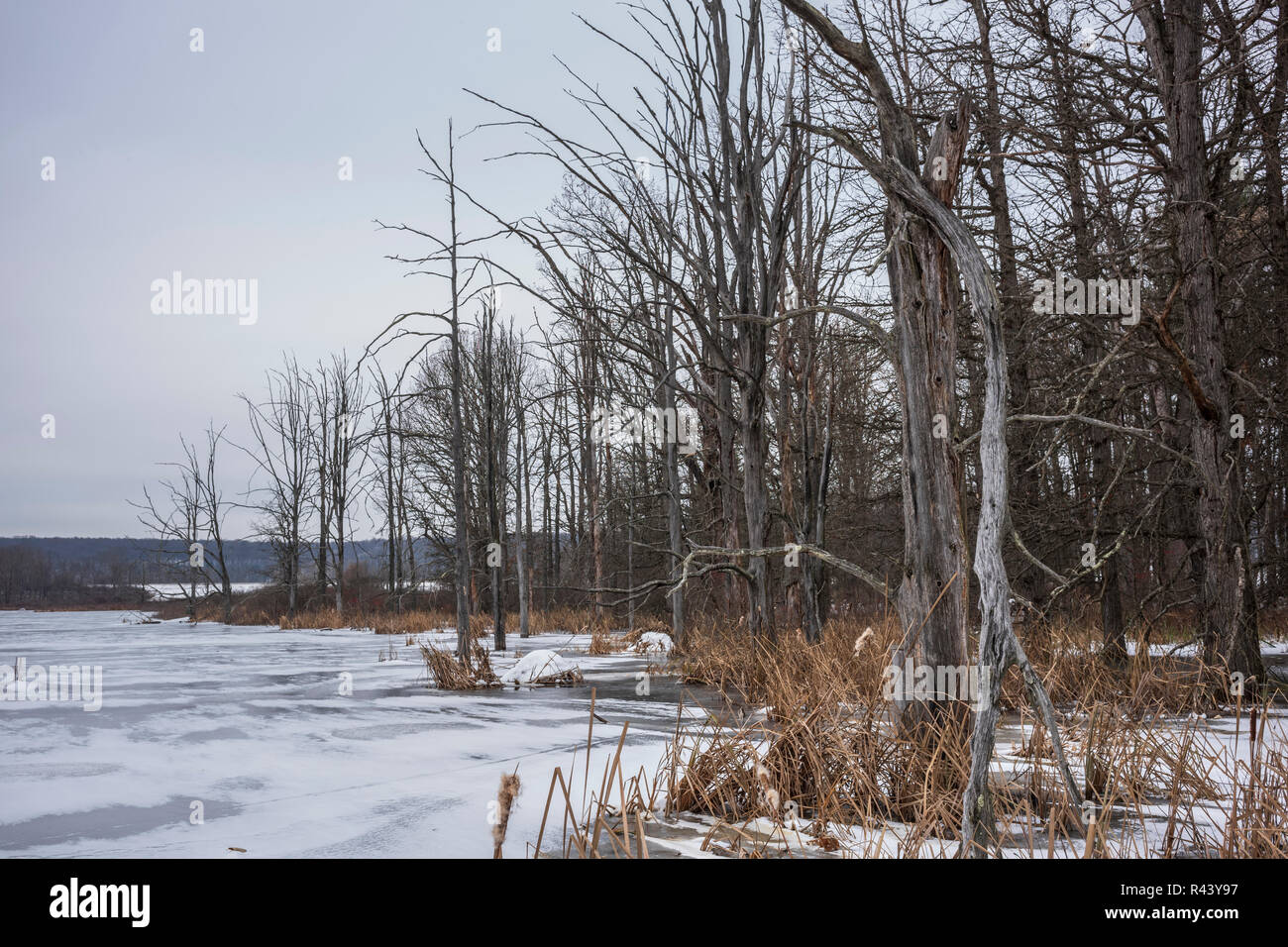 A frozen, winter landscape photograph taken from a nature preserve in ...
