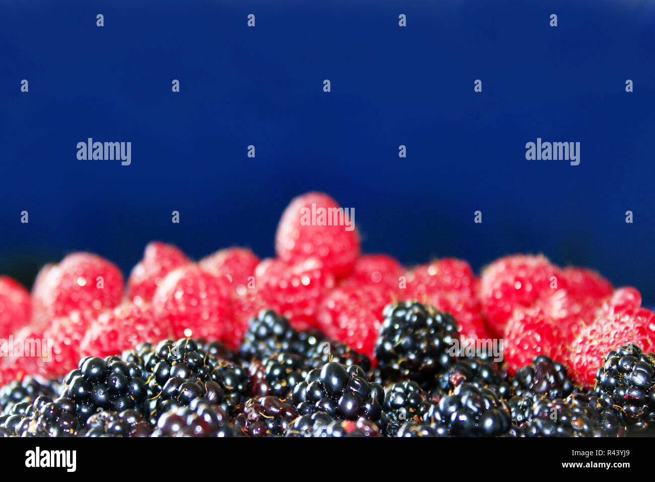 blackberry and raspberry Stock Photo - Alamy