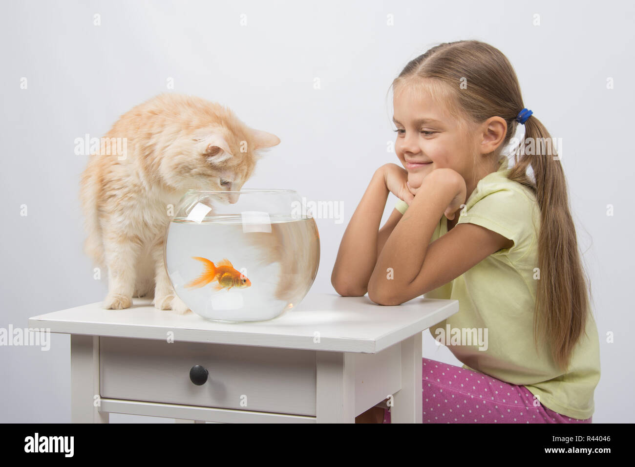 Cat Eating Goldfish