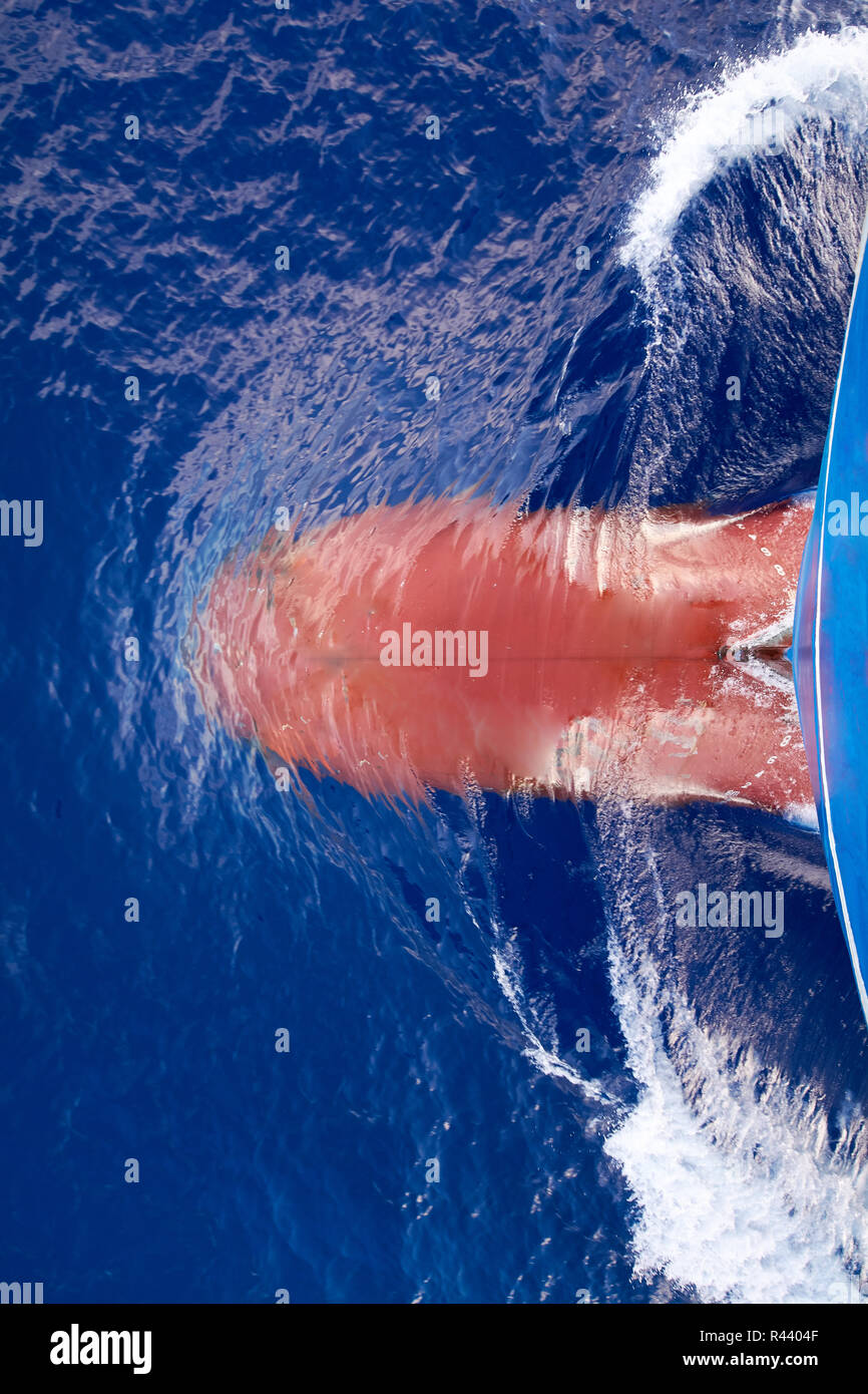 Big Cargo ship sailing in the sea in crystal clean water to Logistics ...