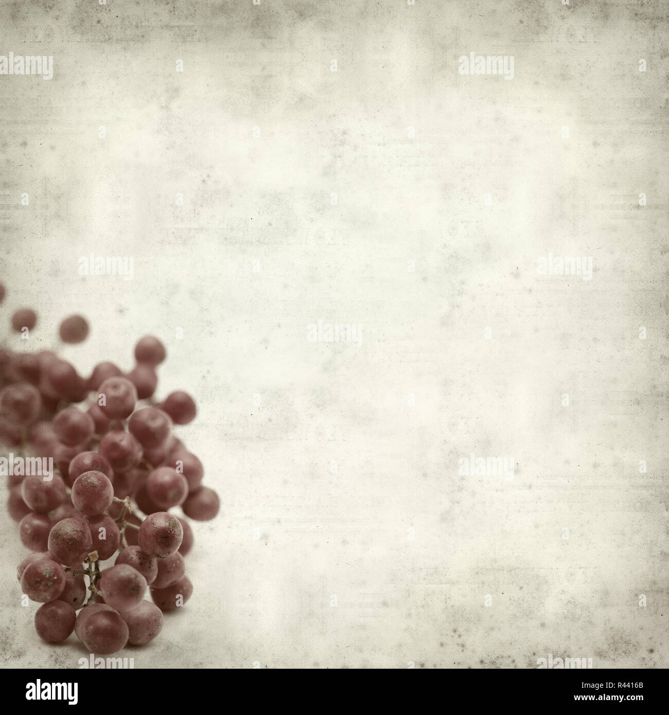 textured old paper background with pink peppercorn tree fruit Stock ...