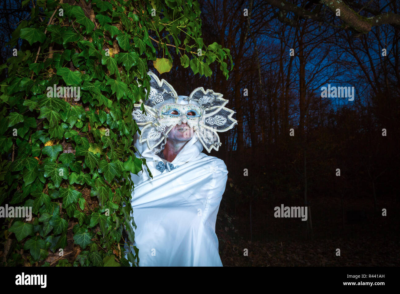 Spook forest hi-res stock photography and images - Alamy