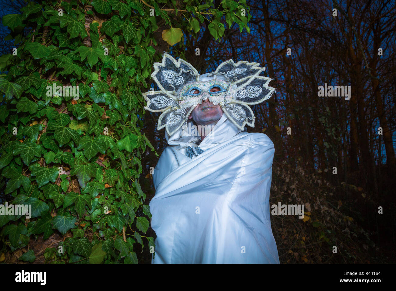Spook forest hi-res stock photography and images - Alamy