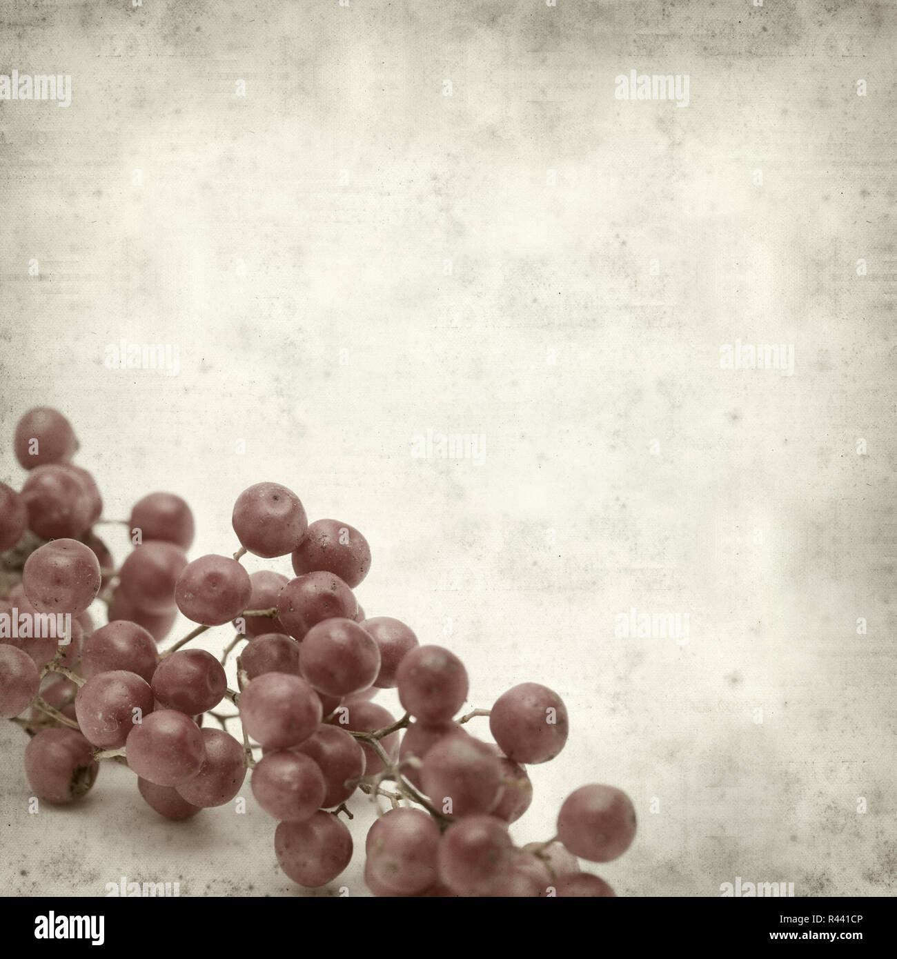 textured old paper background with pink peppercorn tree fruit Stock ...
