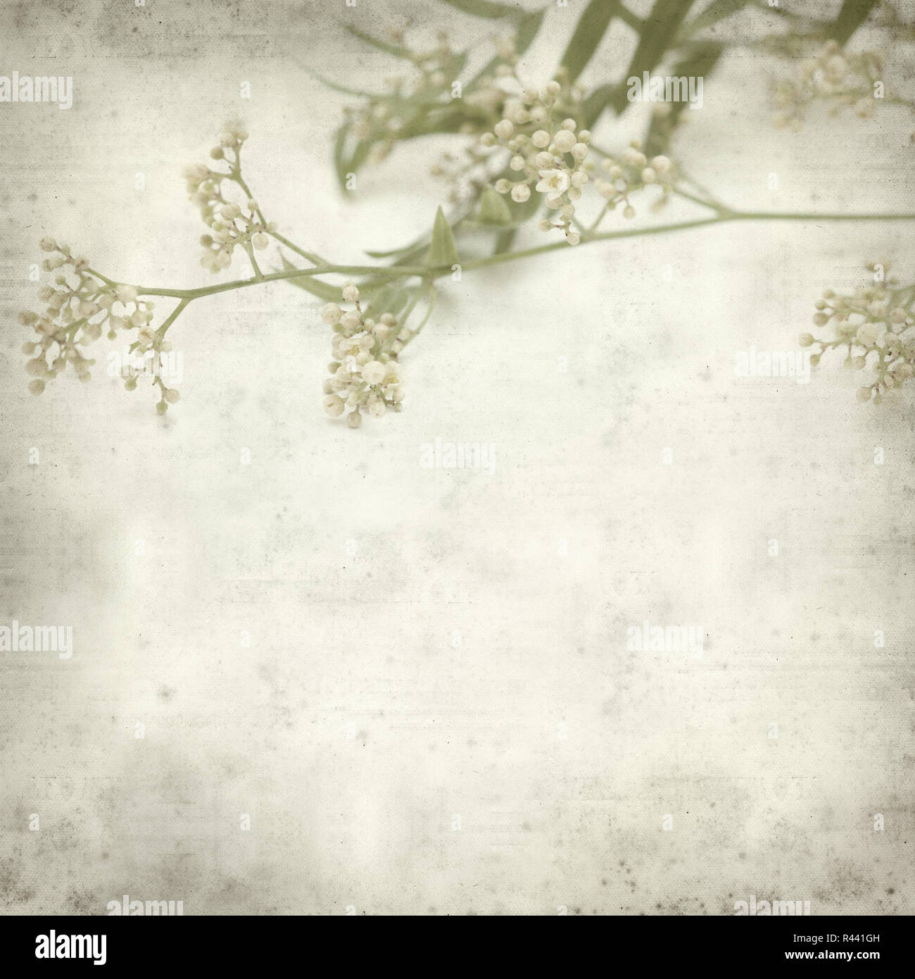 textured old paper background with small white flowers of pink ...