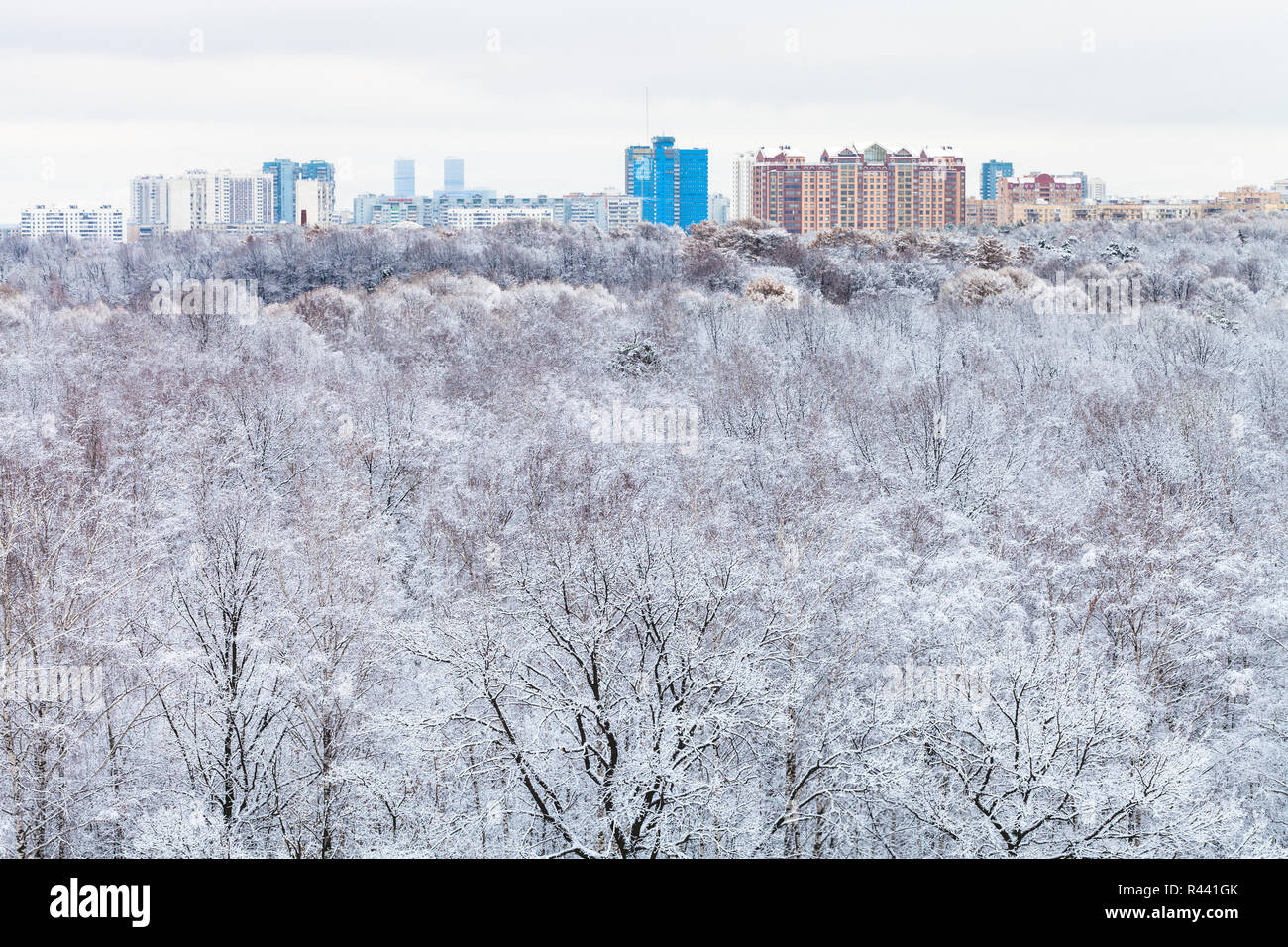 snow forest and city buildings in winter Stock Photo - Alamy