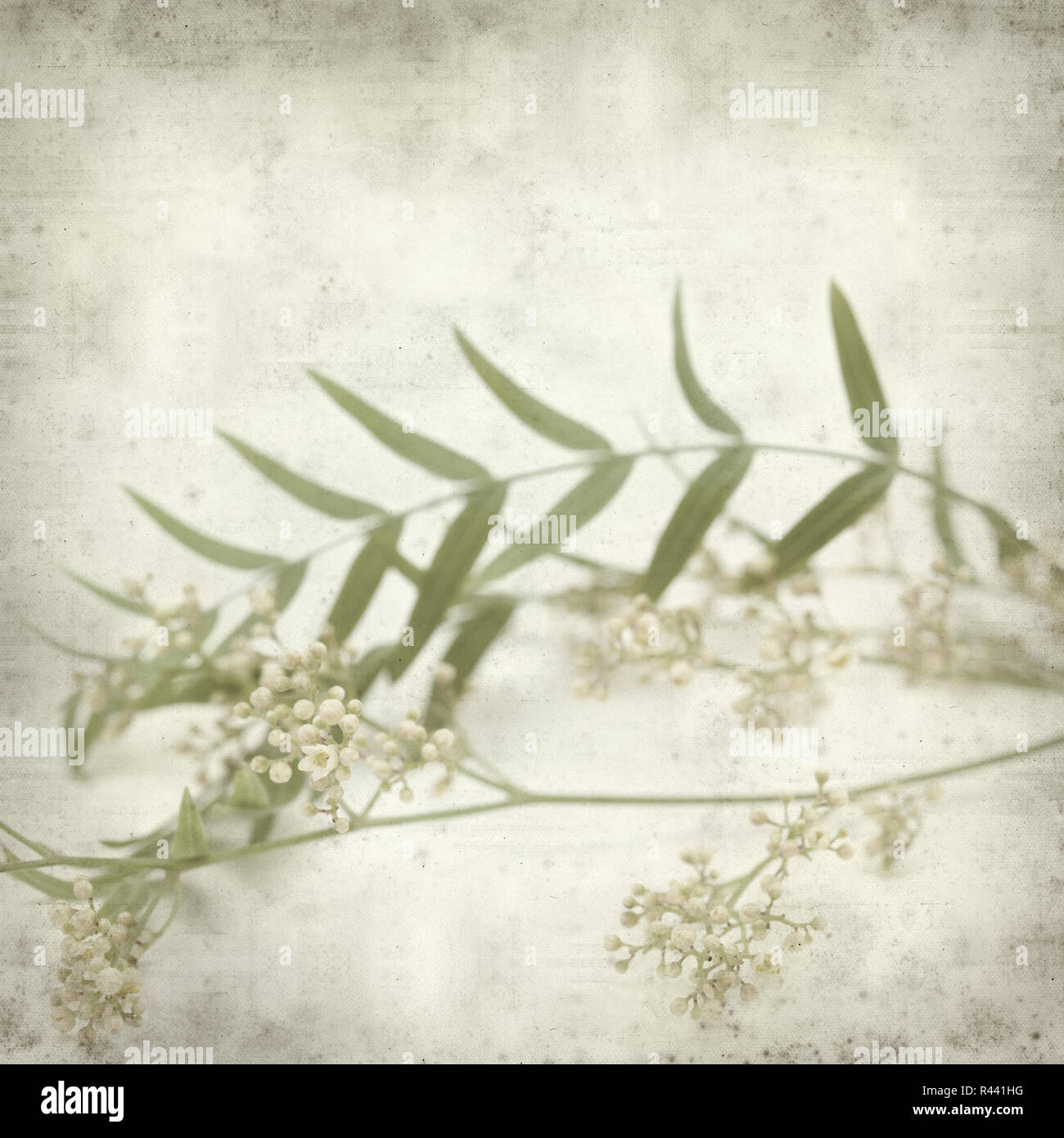 textured old paper background with small white flowers of pink ...