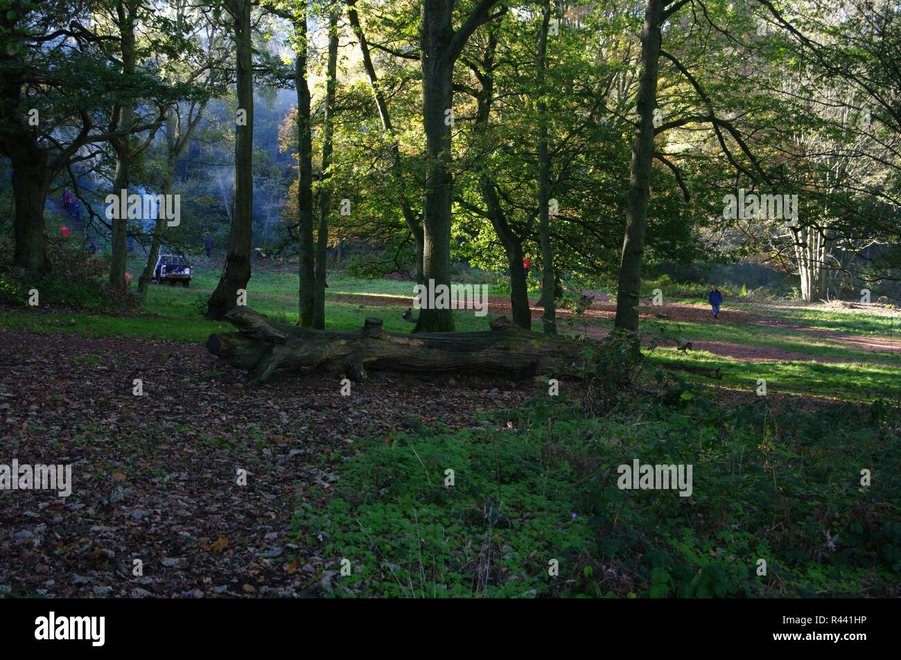 Kinver Edge, Staffordshire, UK Stock Photo - Alamy
