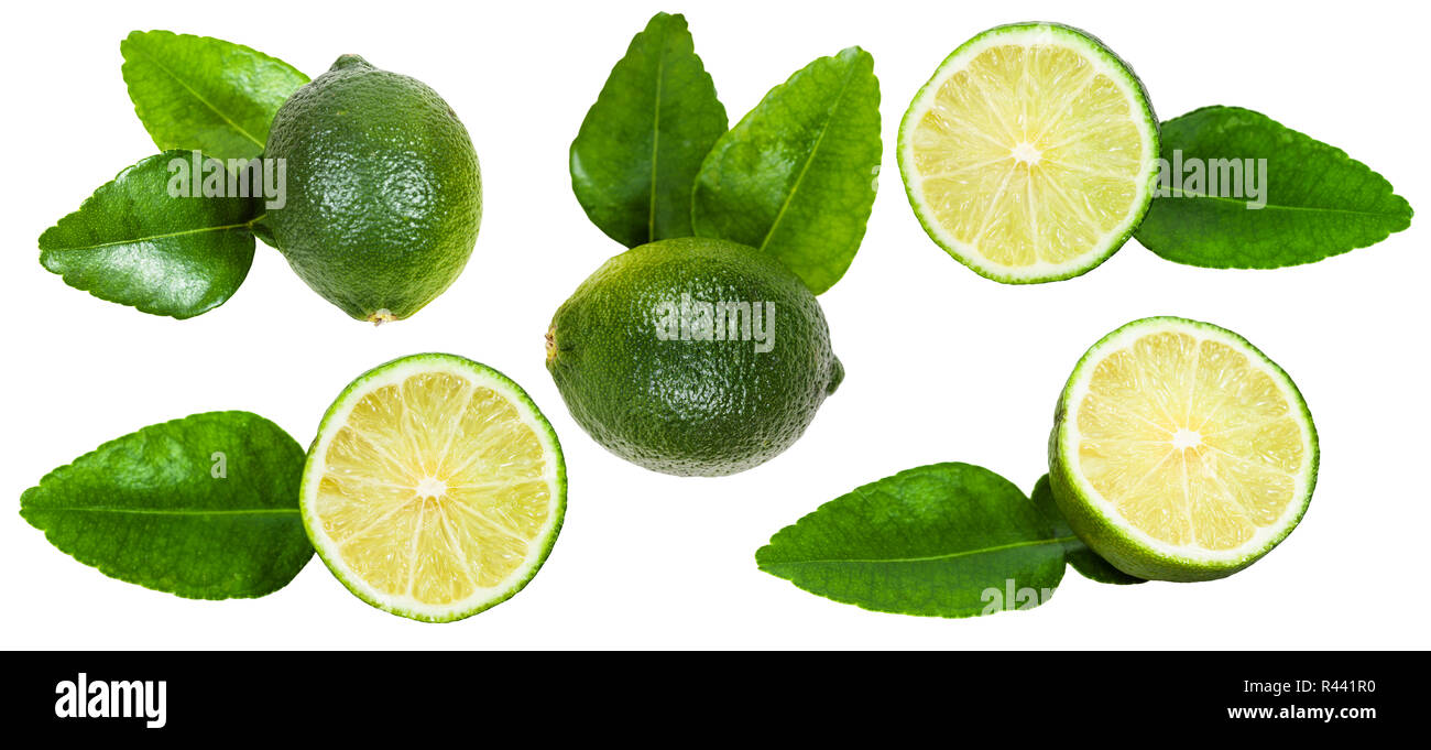 set of fresh green kaffir lime fruits isolated Stock Photo - Alamy