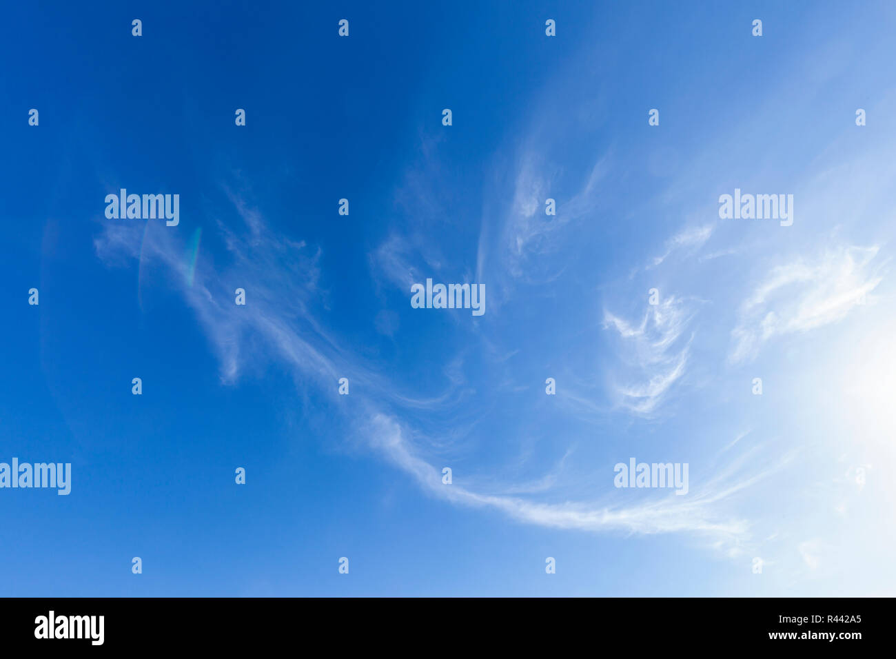 Lovely wispy white clouds and blue sky background. High detail and ...