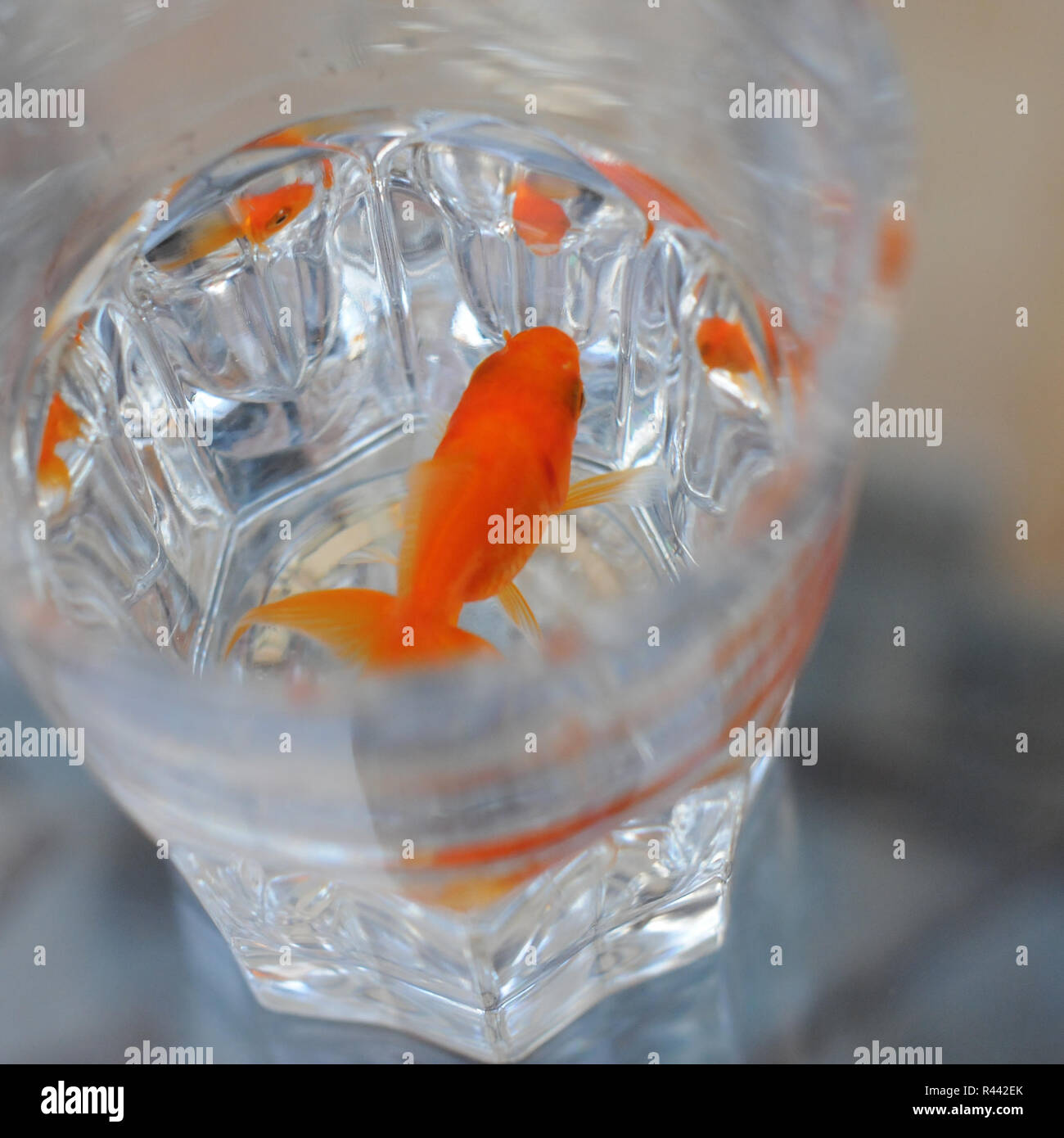 water is life Stock Photo - Alamy