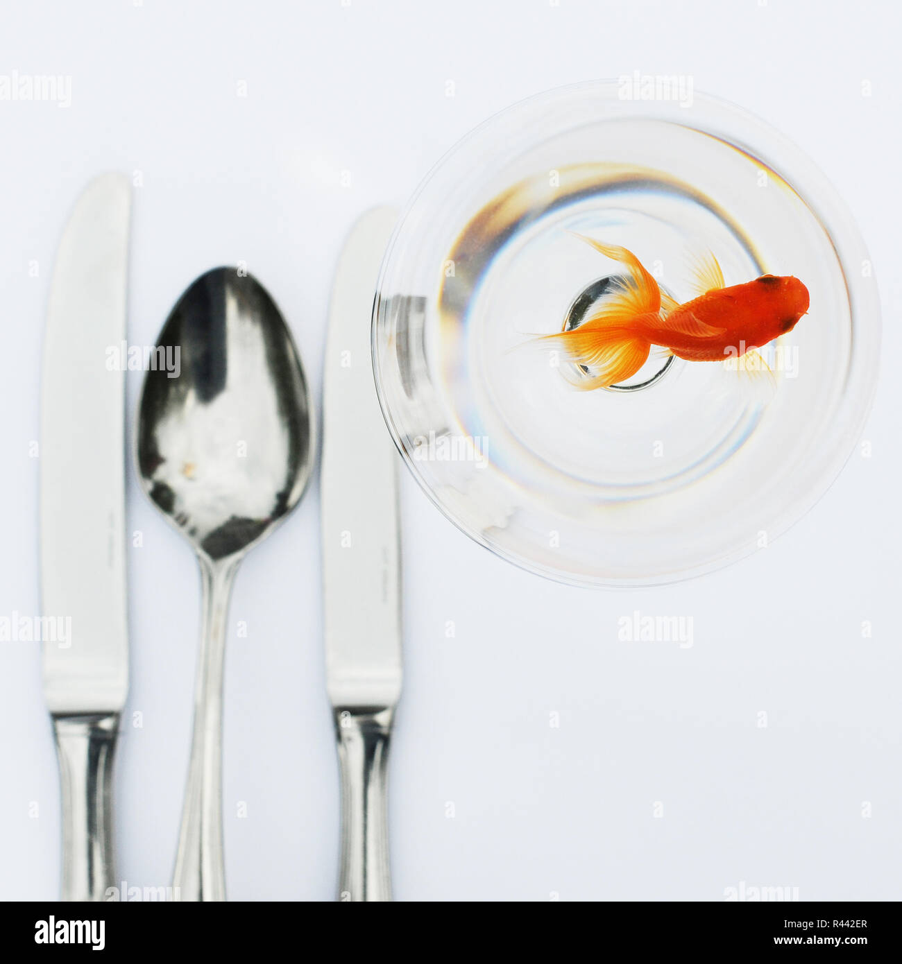 menu without fish Stock Photo - Alamy