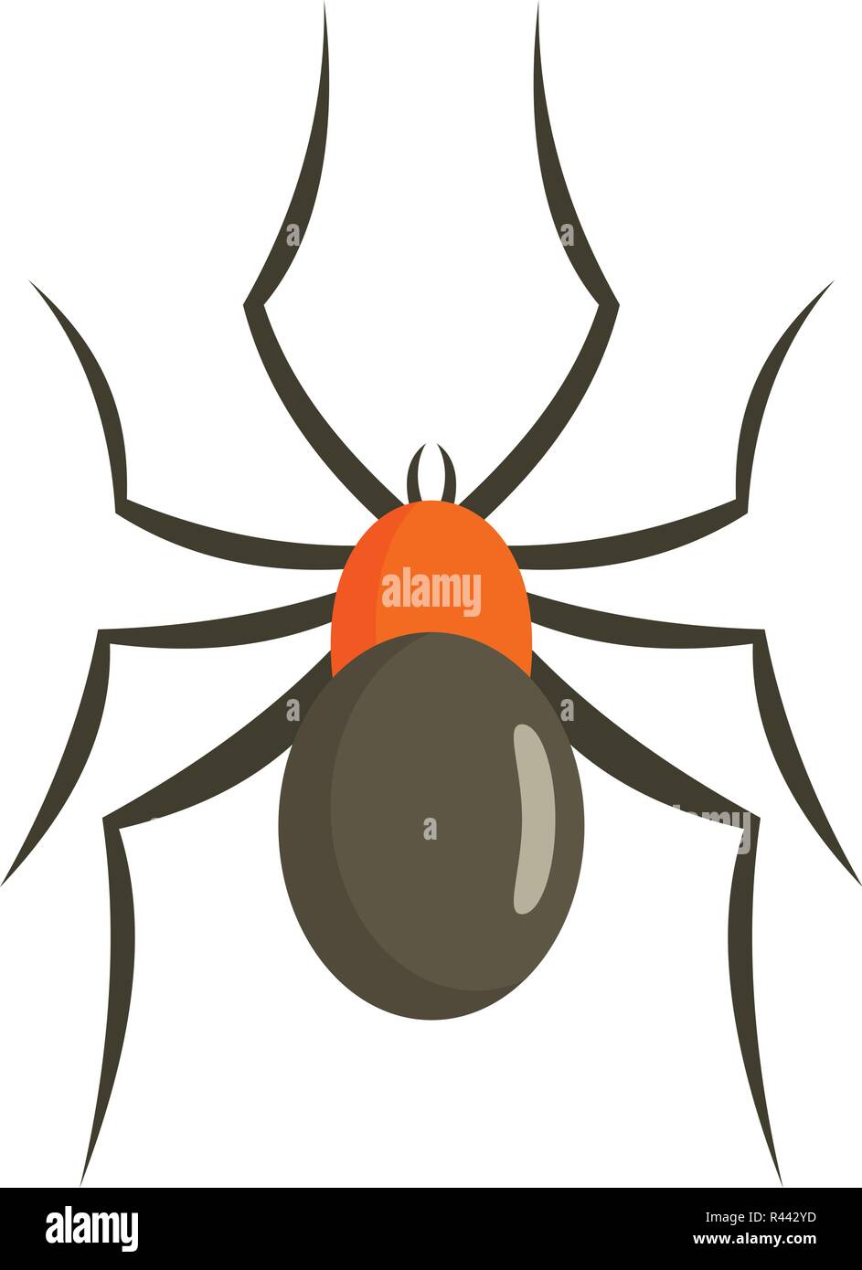 Mouse spider hi-res stock photography and images - Alamy