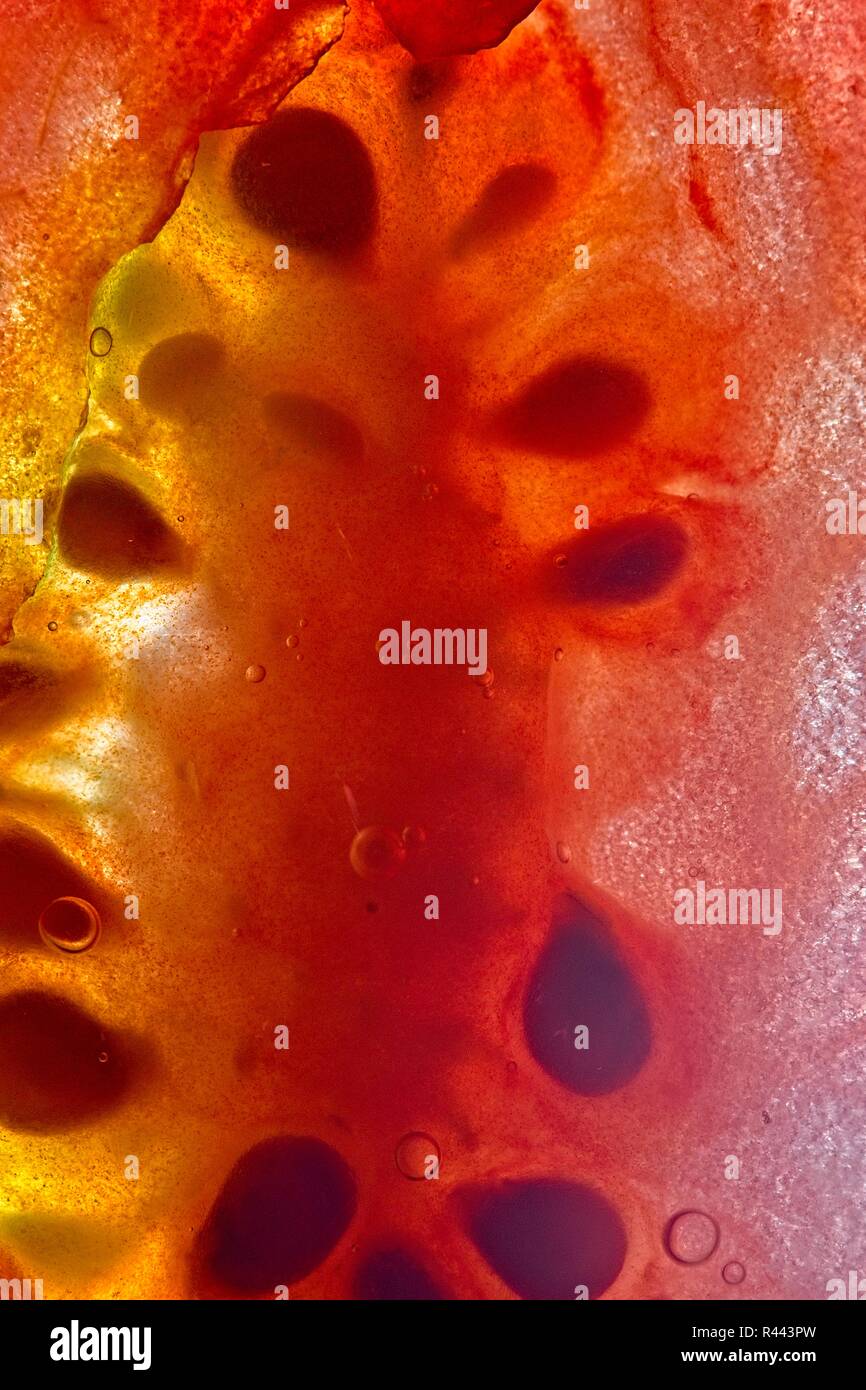Tomato and seeds abstract with back light Stock Photo - Alamy