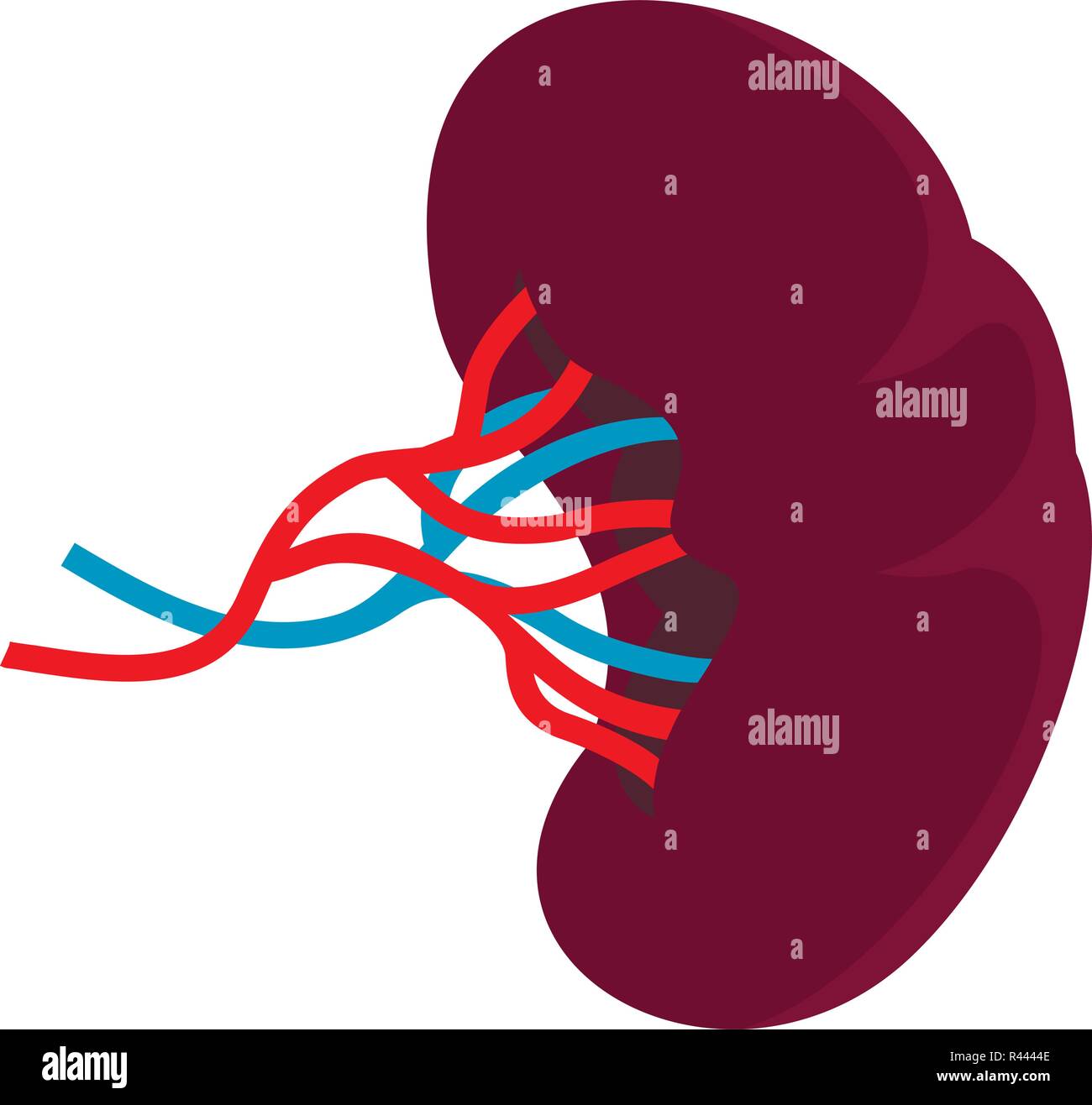Sick kidney icon. Flat illustration of sick kidney vector icon for web ...