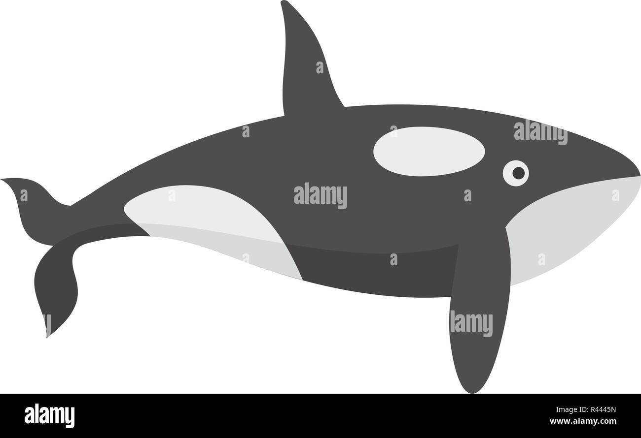 Orca whale icon. Flat illustration of orca whale vector icon for web ...