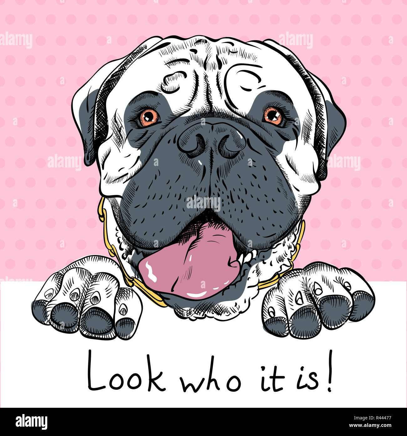 vector funny cartoon hipster dog Bullmastiff Stock Photo - Alamy