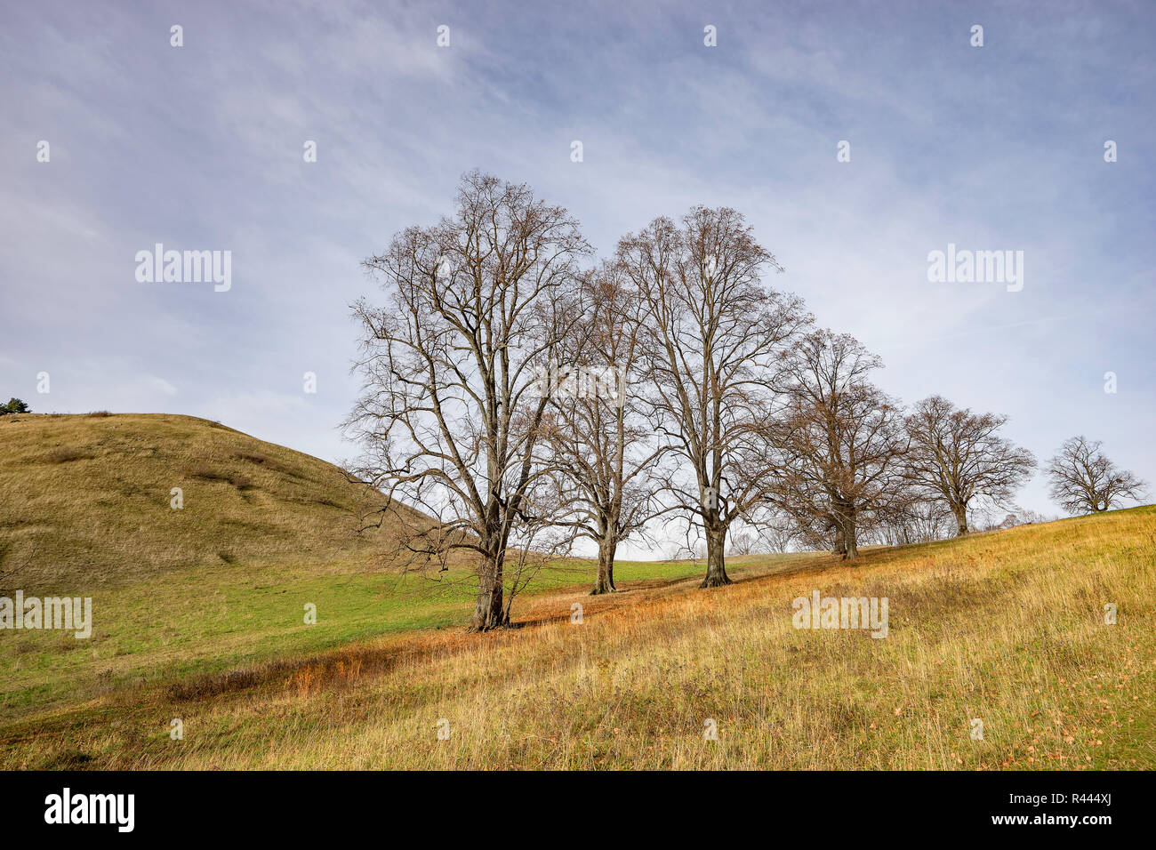 Owen Teck High Resolution Stock Photography and Images - Alamy