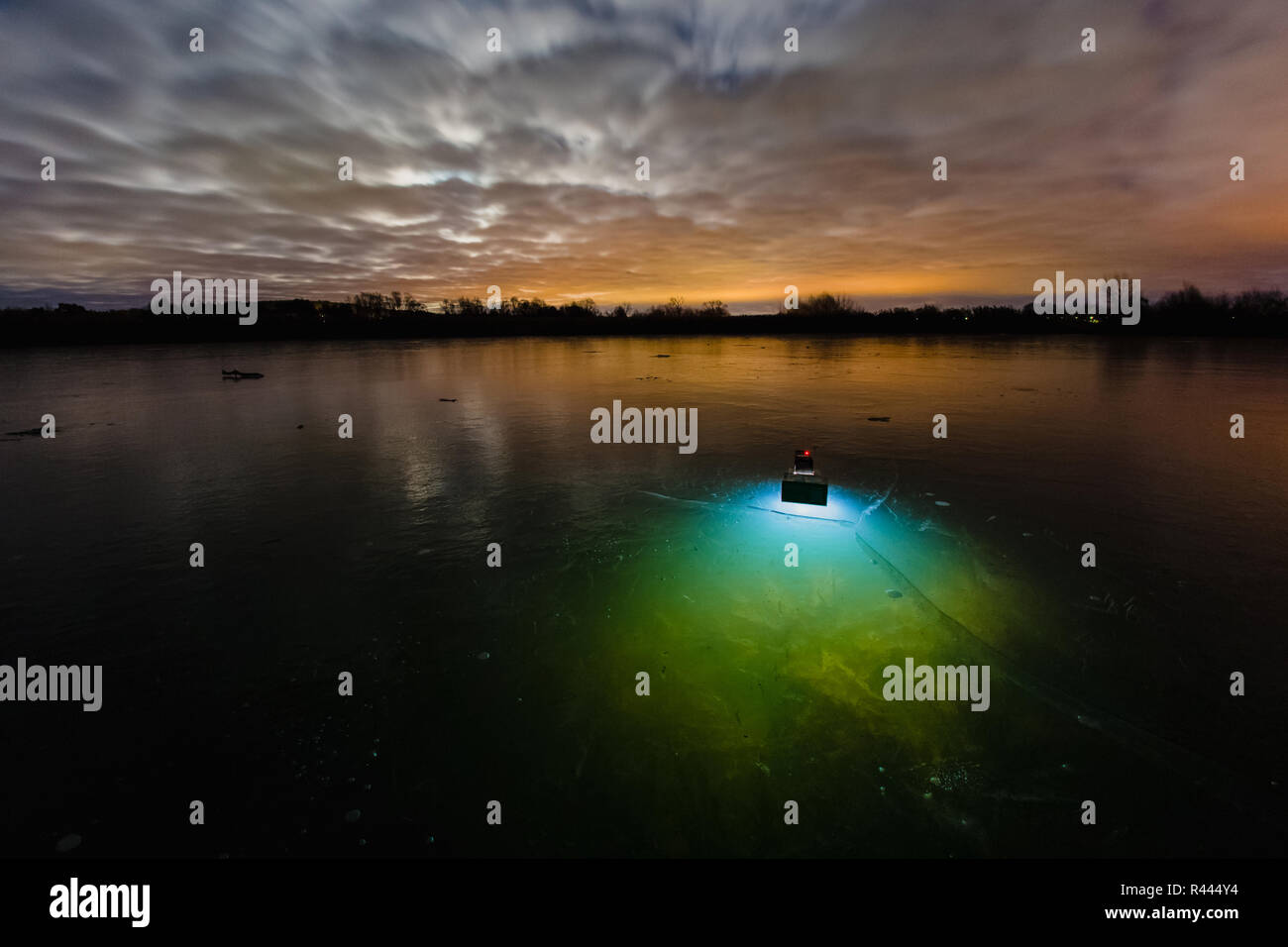 Still life with underwater plant under surface of frozen lake Stock ...