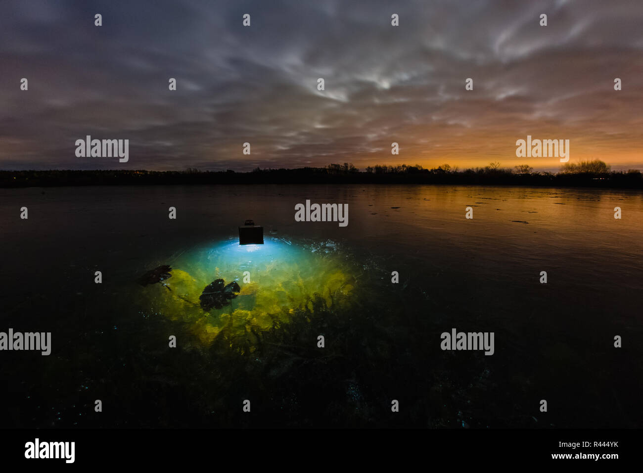 Still life with underwater plant under surface of frozen lake Stock ...