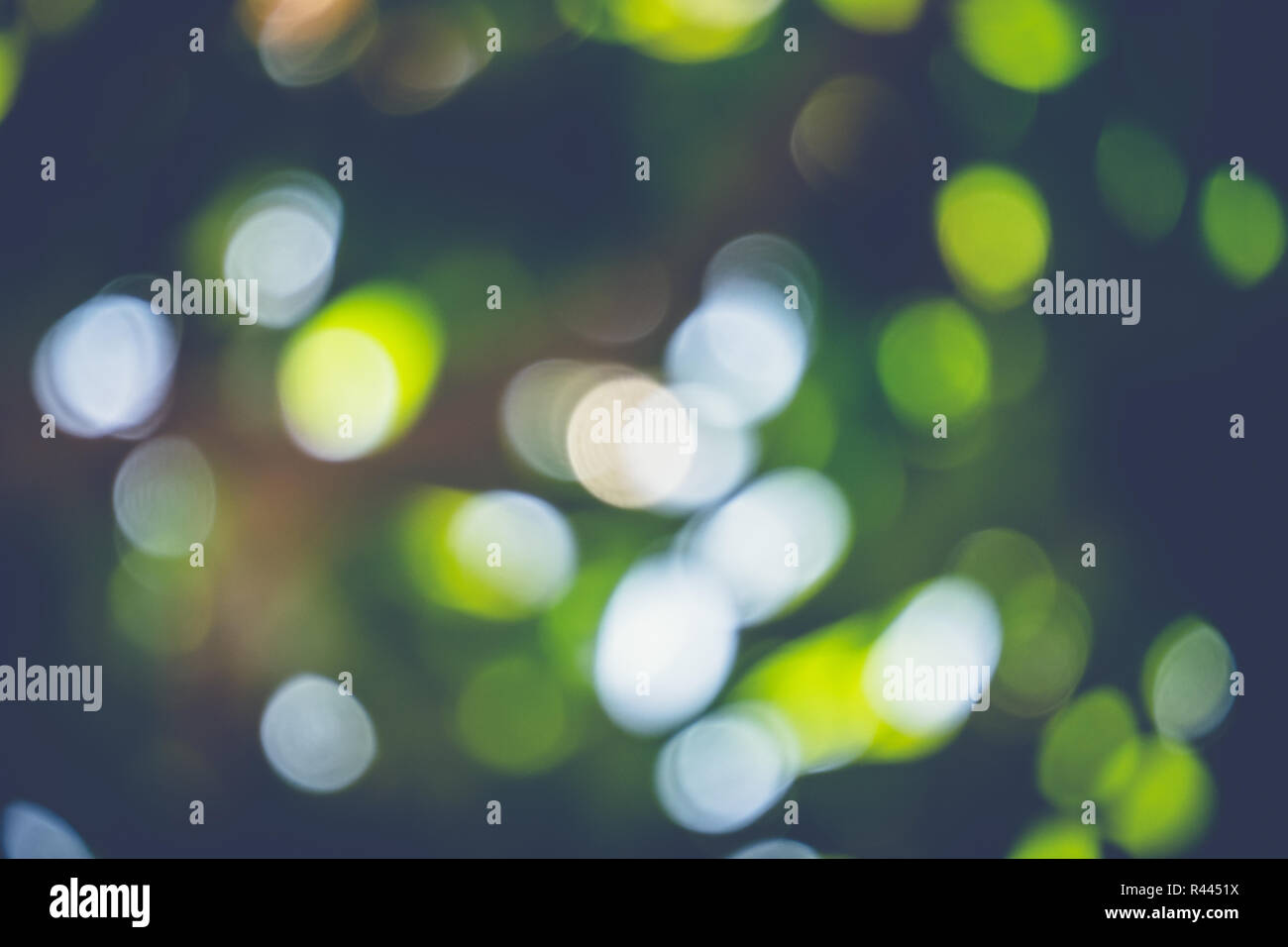 abstract natural blur background, defocused leaves, bokeh Stock Photo ...