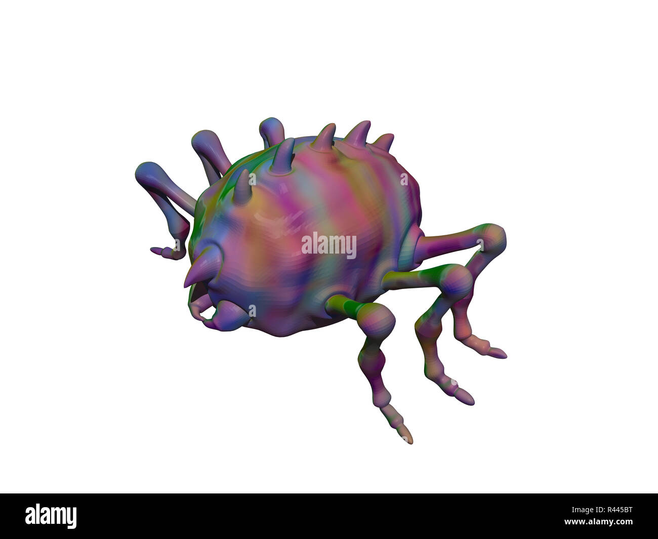 Blood beetle hi-res stock photography and images - Alamy