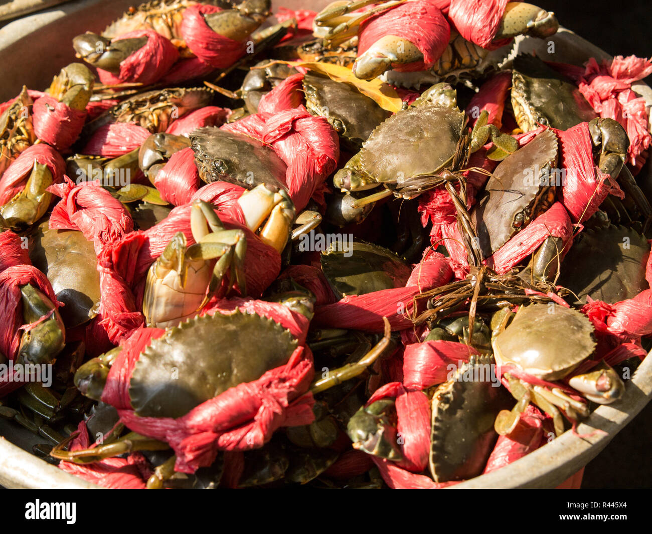 Clam shell sit hi-res stock photography and images - Alamy