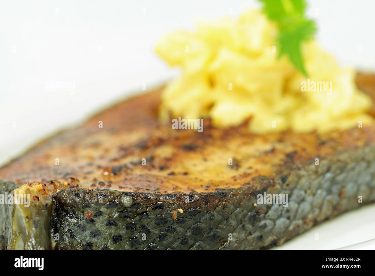 salmon steak from salmo salar Stock Photo - Alamy