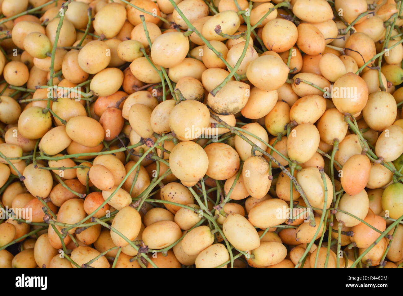 burmese grape background / pile of burmese grape tropical fruit on ...