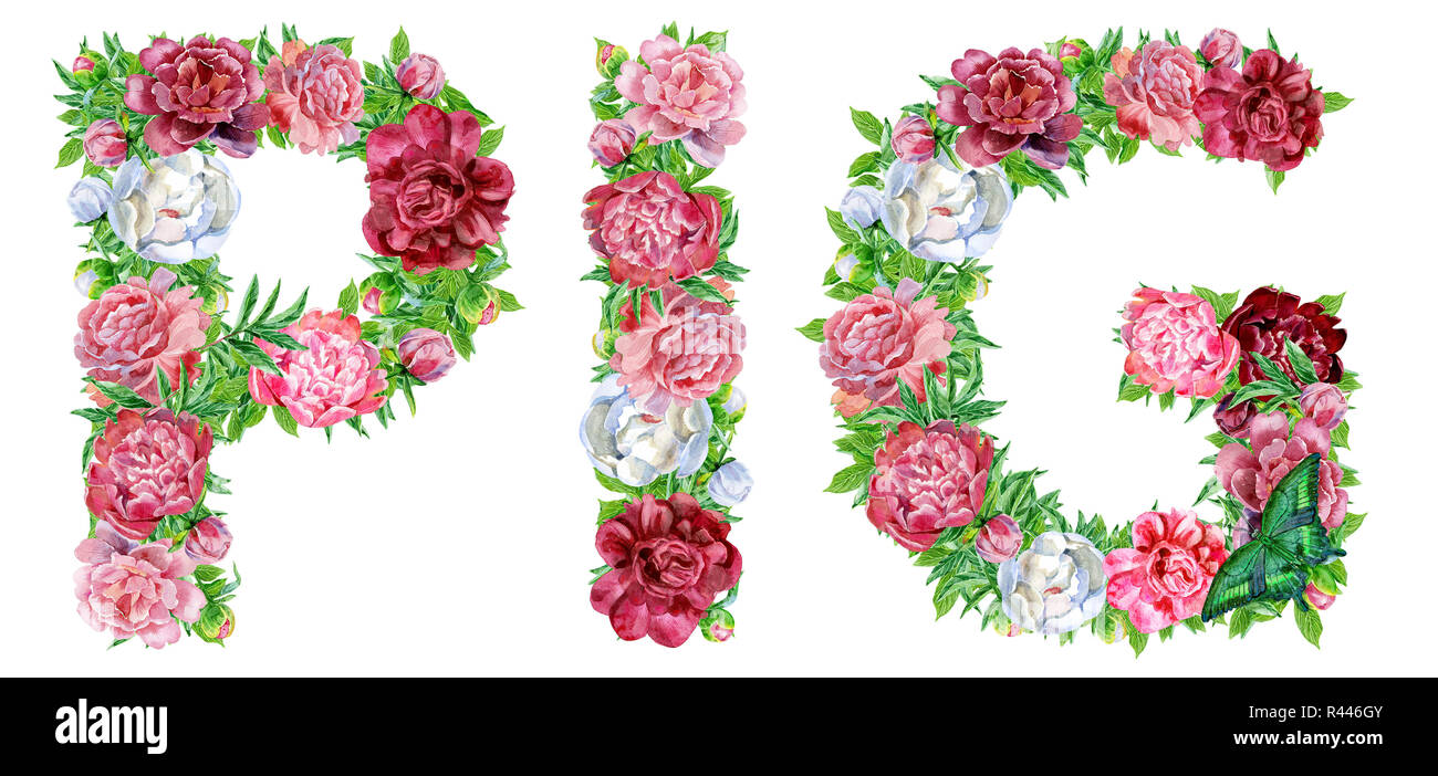 Word PIG of watercolor flowers, isolated hand drawn on a white ...