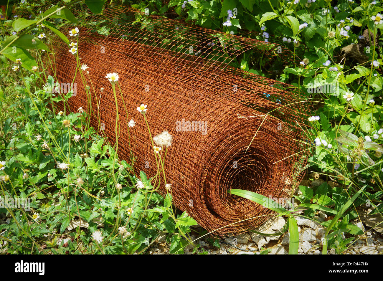 metal net steel in rolls of iron mesh (wire mesh) with rust use for ...