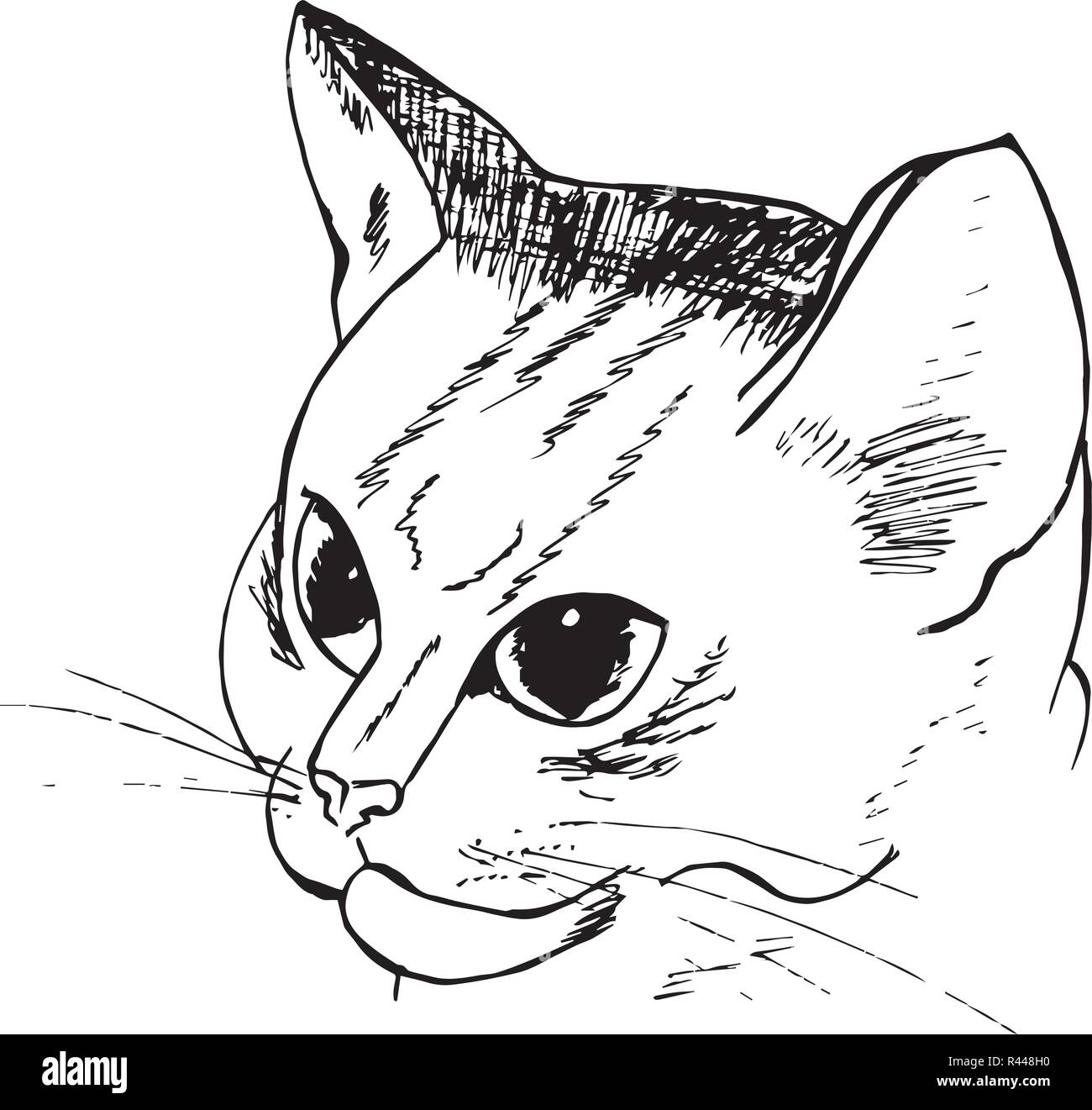 Black and white illustration of a cat. Hatching cat portrait Stock ...