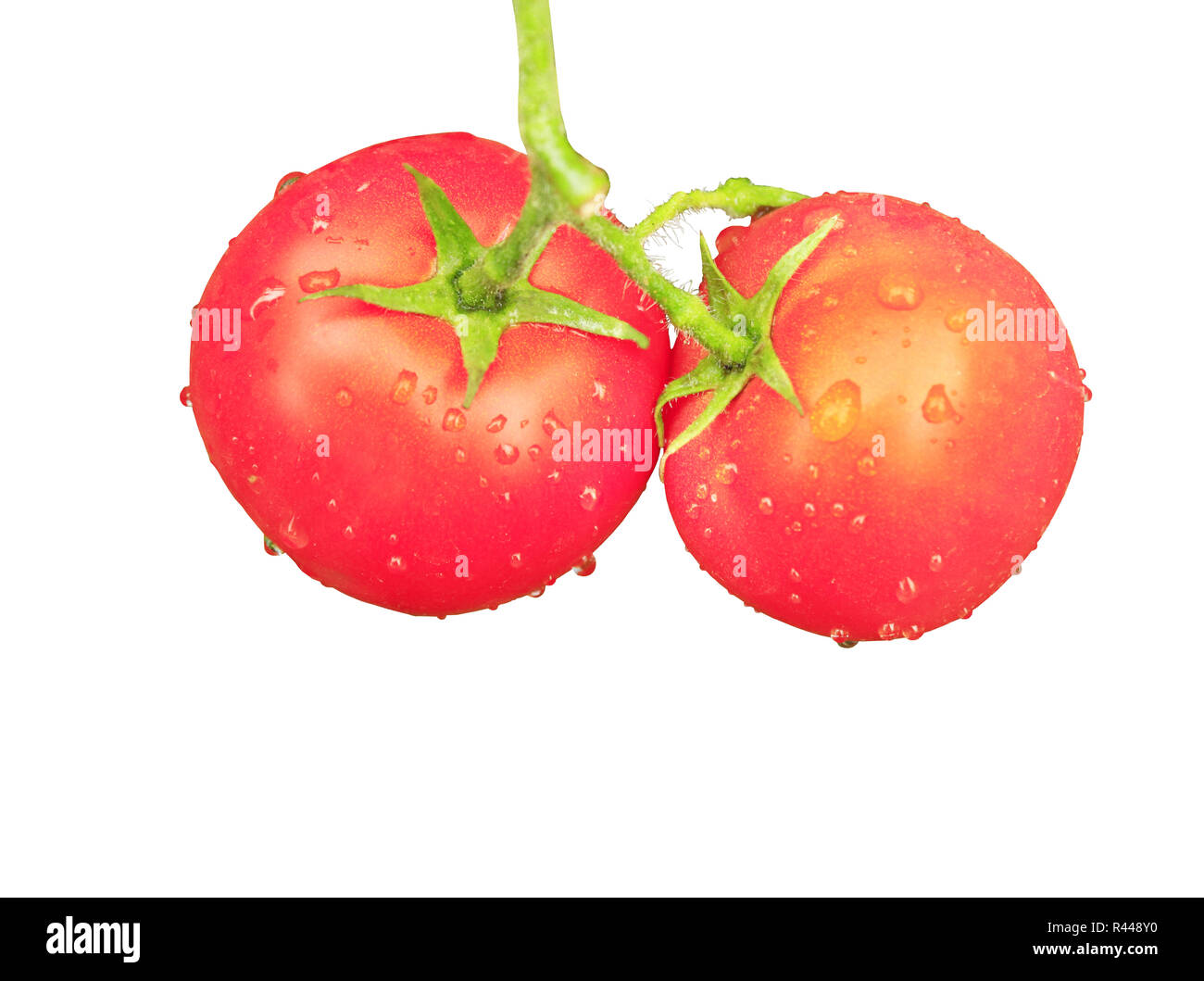 two red tomatoes isolated Stock Photo - Alamy