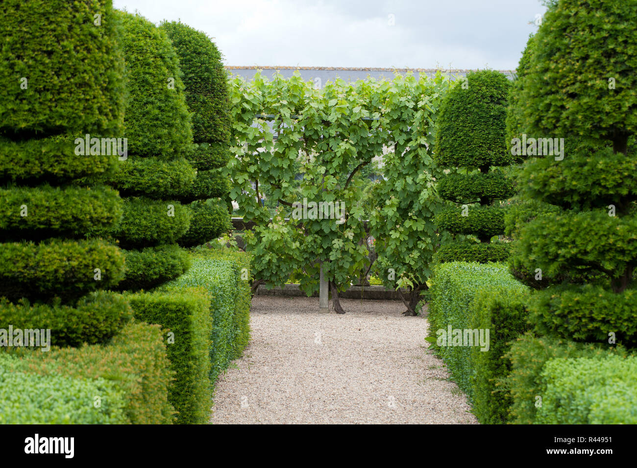 Splendid, decorative gardens at castles in the Valley of Loire Stock ...