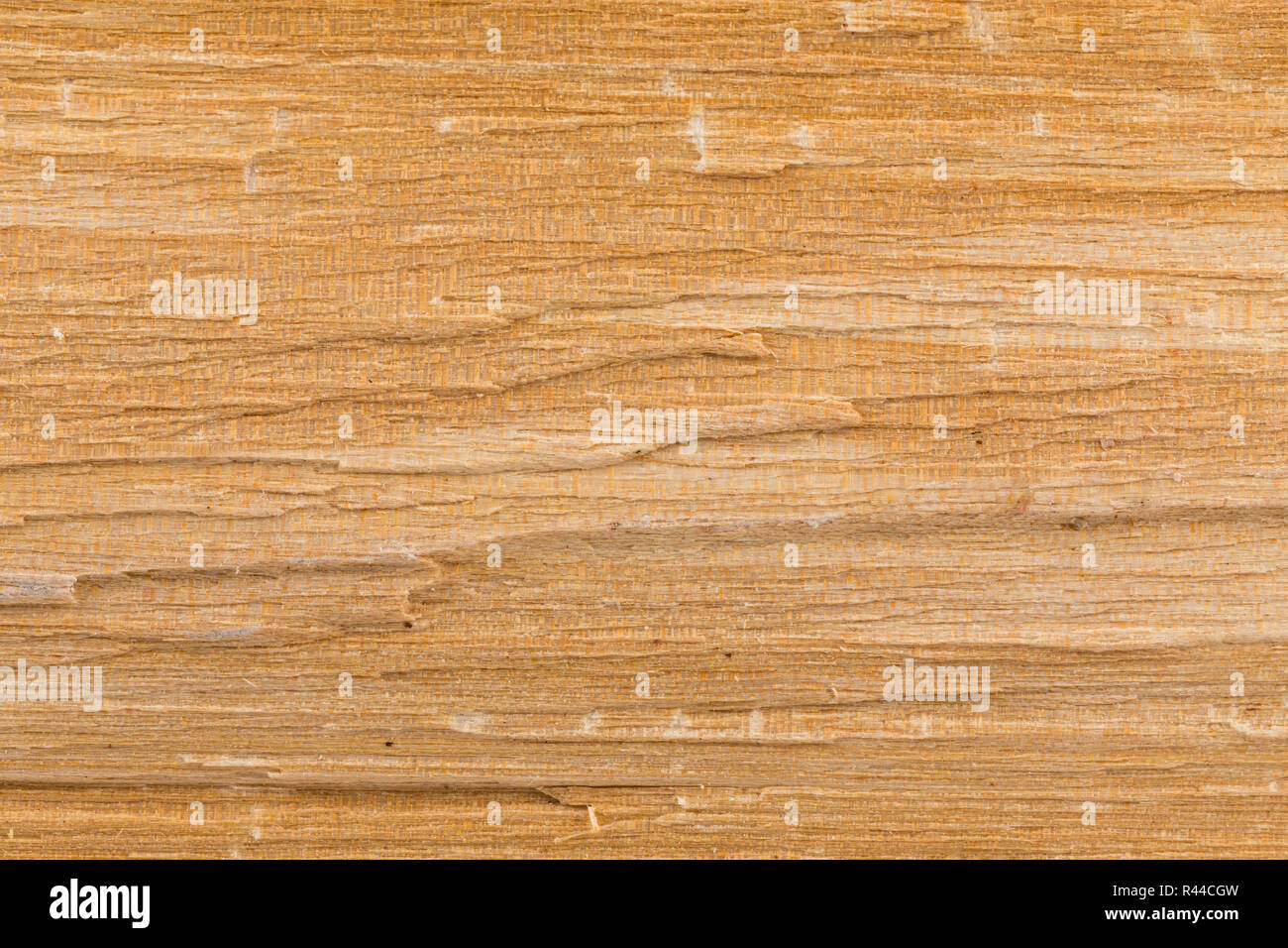 Birch wood texture Stock Photo - Alamy